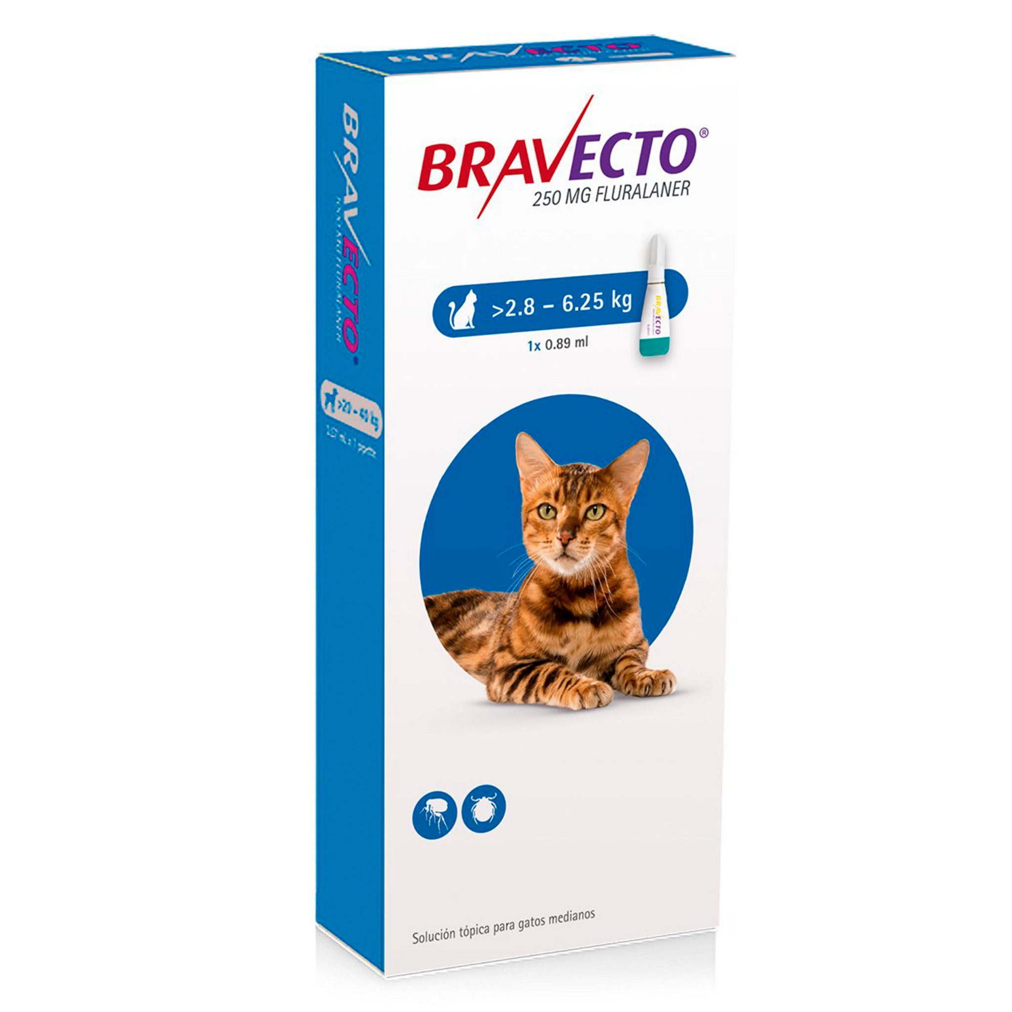Bravecto Pipeta Para Gatos 2 8 A 6 25kg Calico Tienda